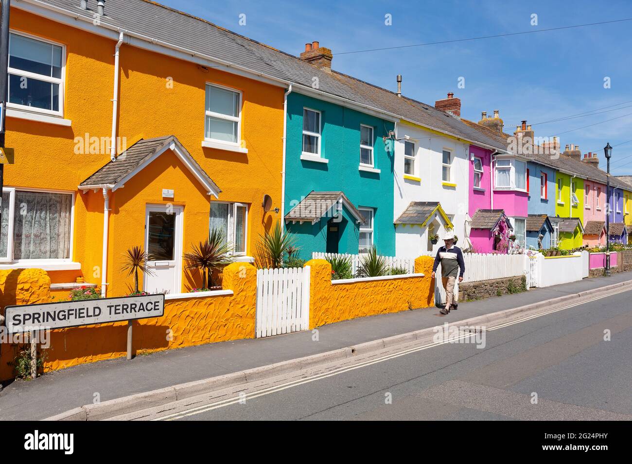 The colourful houses of Springfield Terrace which are a riot of bright ...
