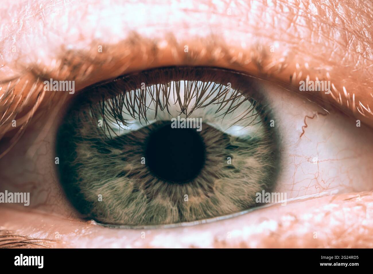Macro shot of my right eye Stock Photo - Alamy