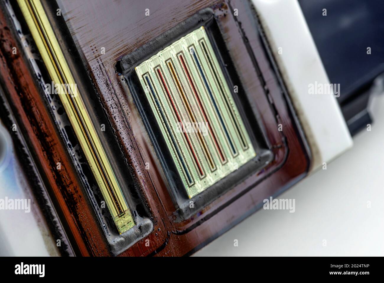 Macro shot of the printing nozzles in the inkjet printer head, seven ...