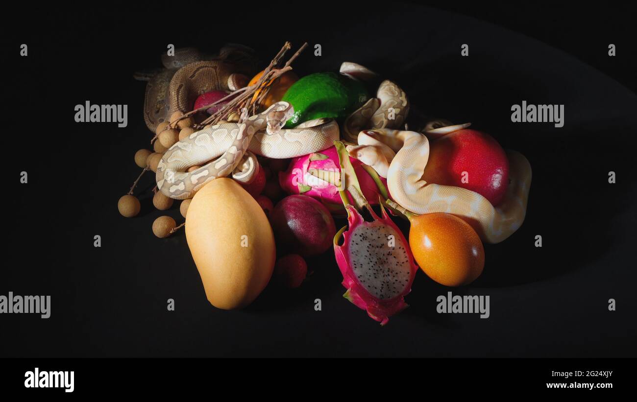 Photo of exotic fruits and pythons on black Stock Photo - Alamy