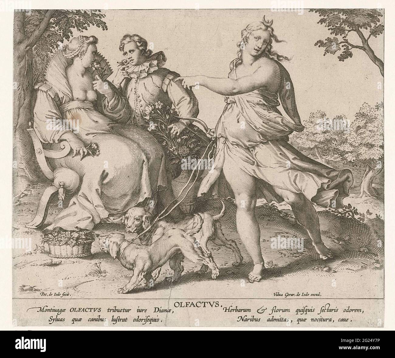 Smell; OLFACTVS; The five senses. Landscape with feminine odor. She is ...