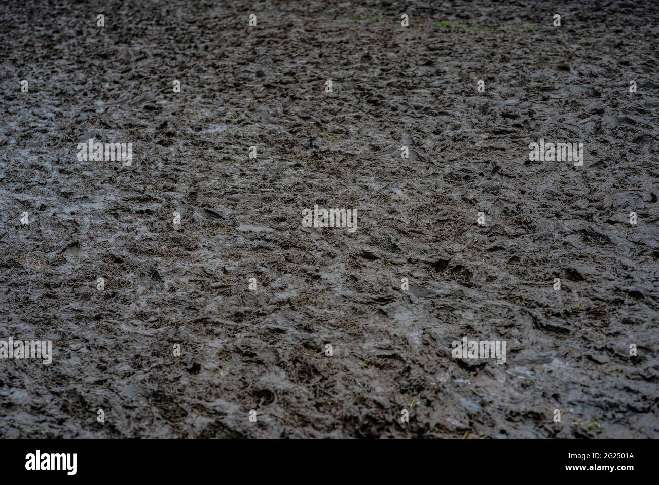 Sticky mud hi-res stock photography and images - Alamy