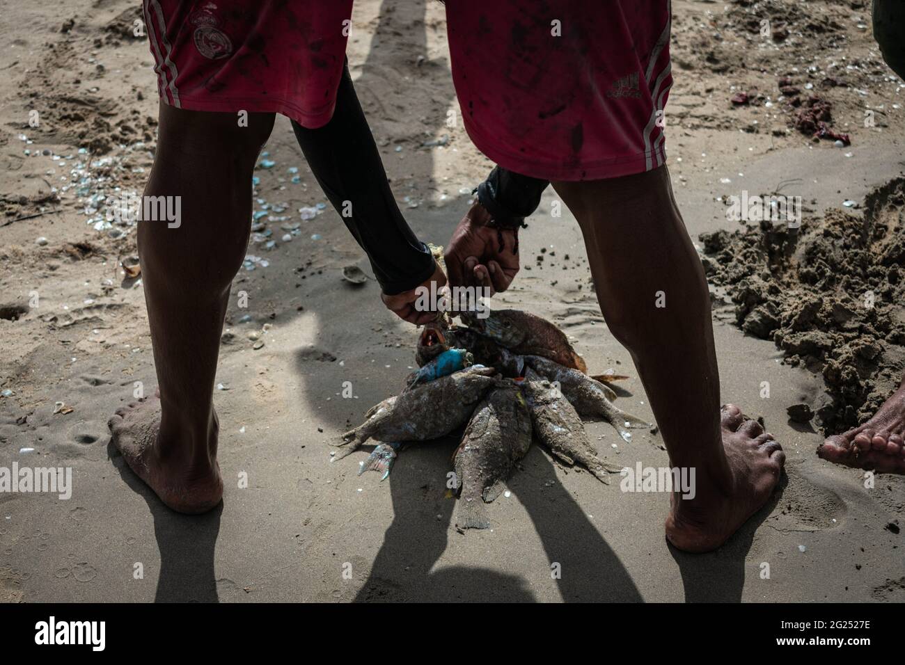 Fisherman working on fish in the sand Stock Photo - Alamy