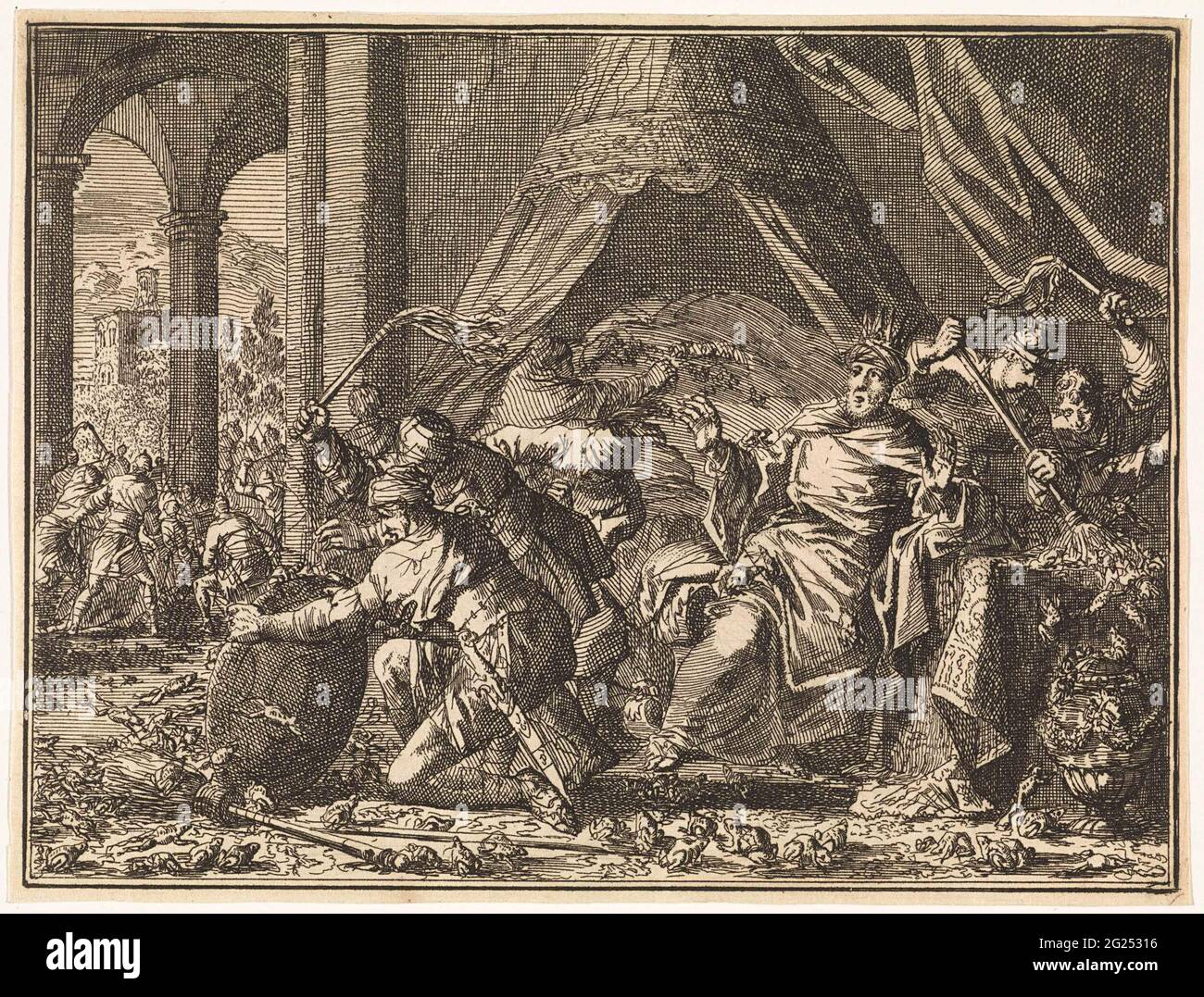 Plague Of Frogs Stock Photo Alamy
