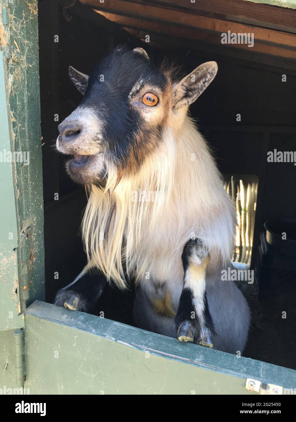 Dutch door hi-res stock photography and images - Alamy