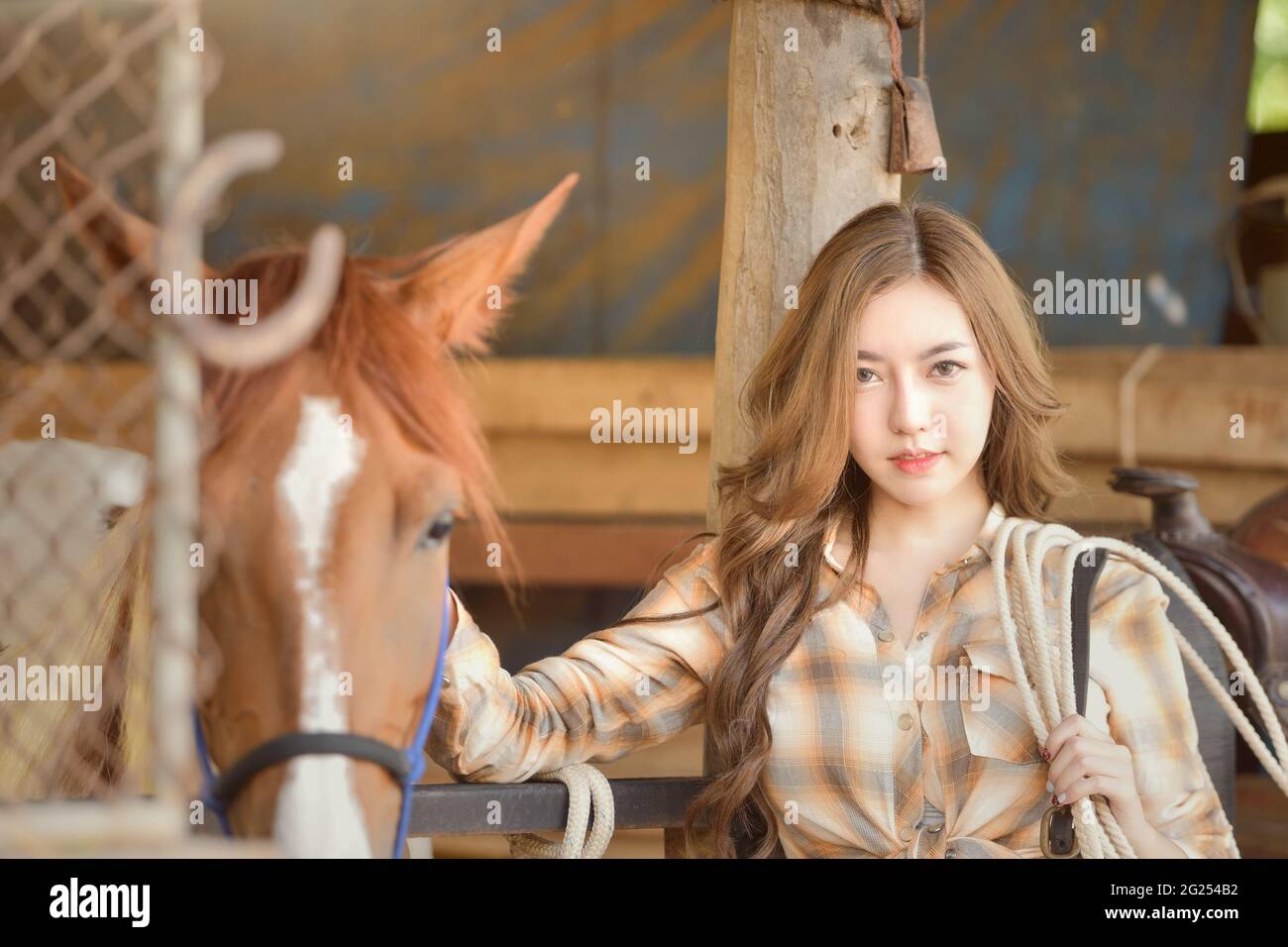 Portrait of a beautiful woman standing in a stable with her horse Stock ...