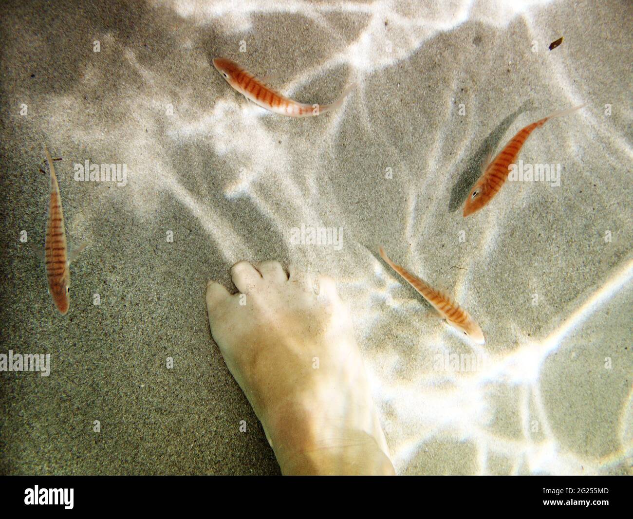 Underwater swimming perspective hi-res stock photography and images - Alamy