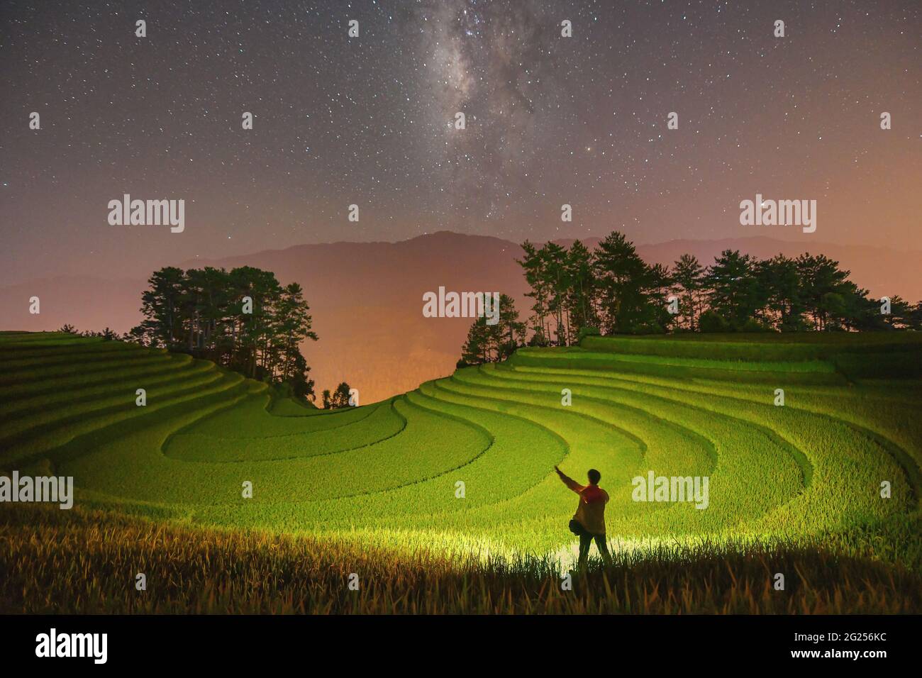 Man standing in terraced rice fields at night below milky way, Mu Cang ...