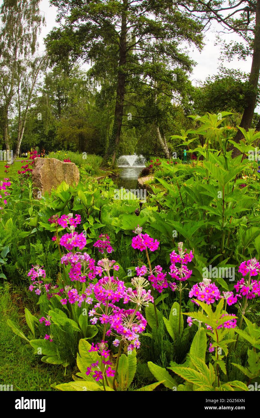 Summer Flower Display, Loughborough Queen's Park Stock Photo - Alamy