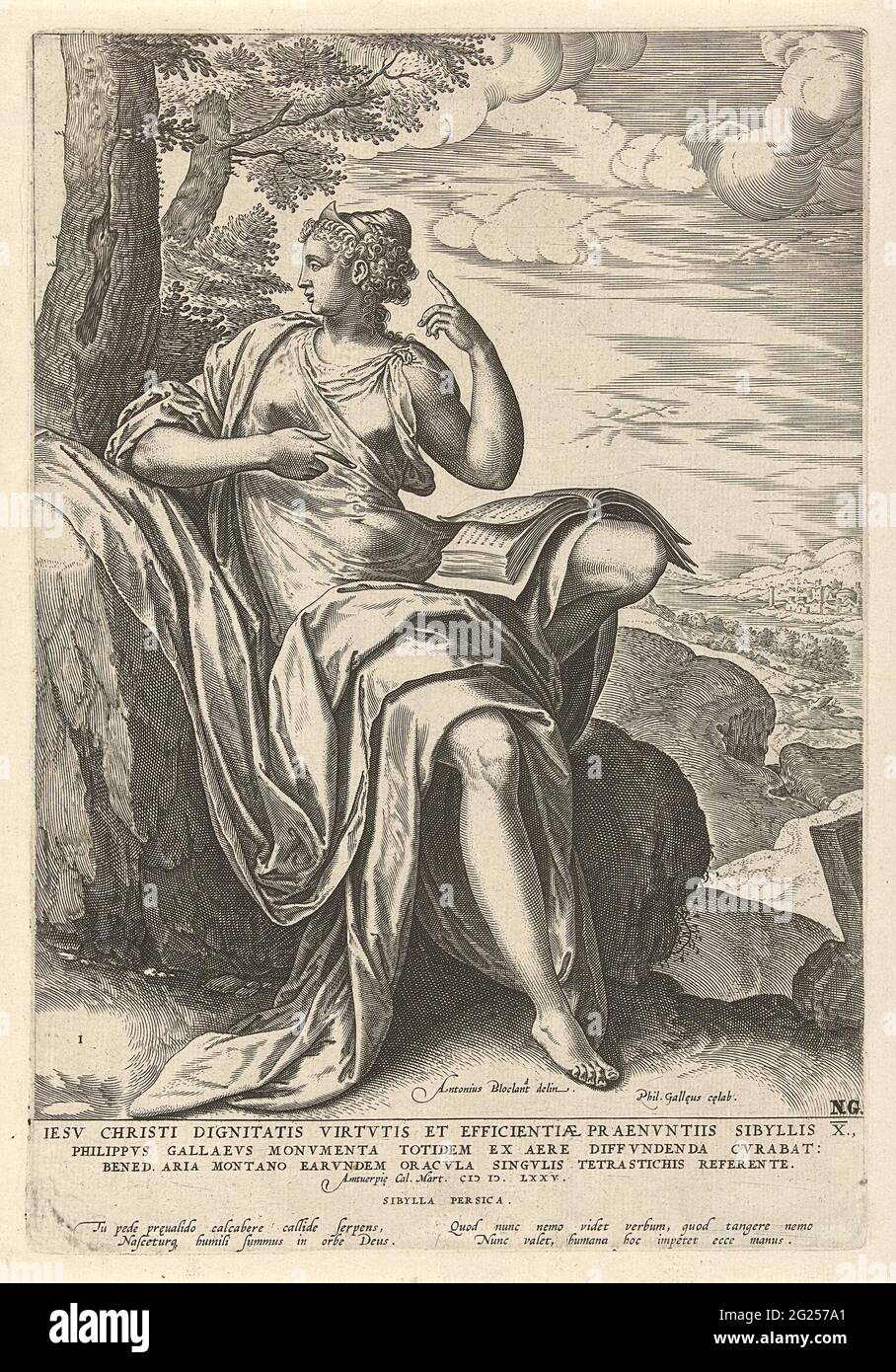 Persian sibille sibylla persica hi-res stock photography and images - Alamy