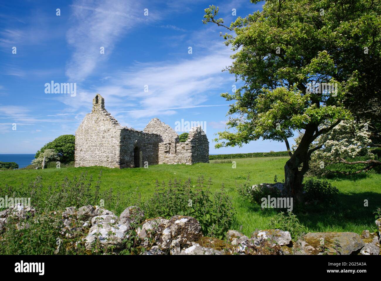 Lligwy Chapel Ruin, Anglesey, North Wales Stock Photo - Alamy