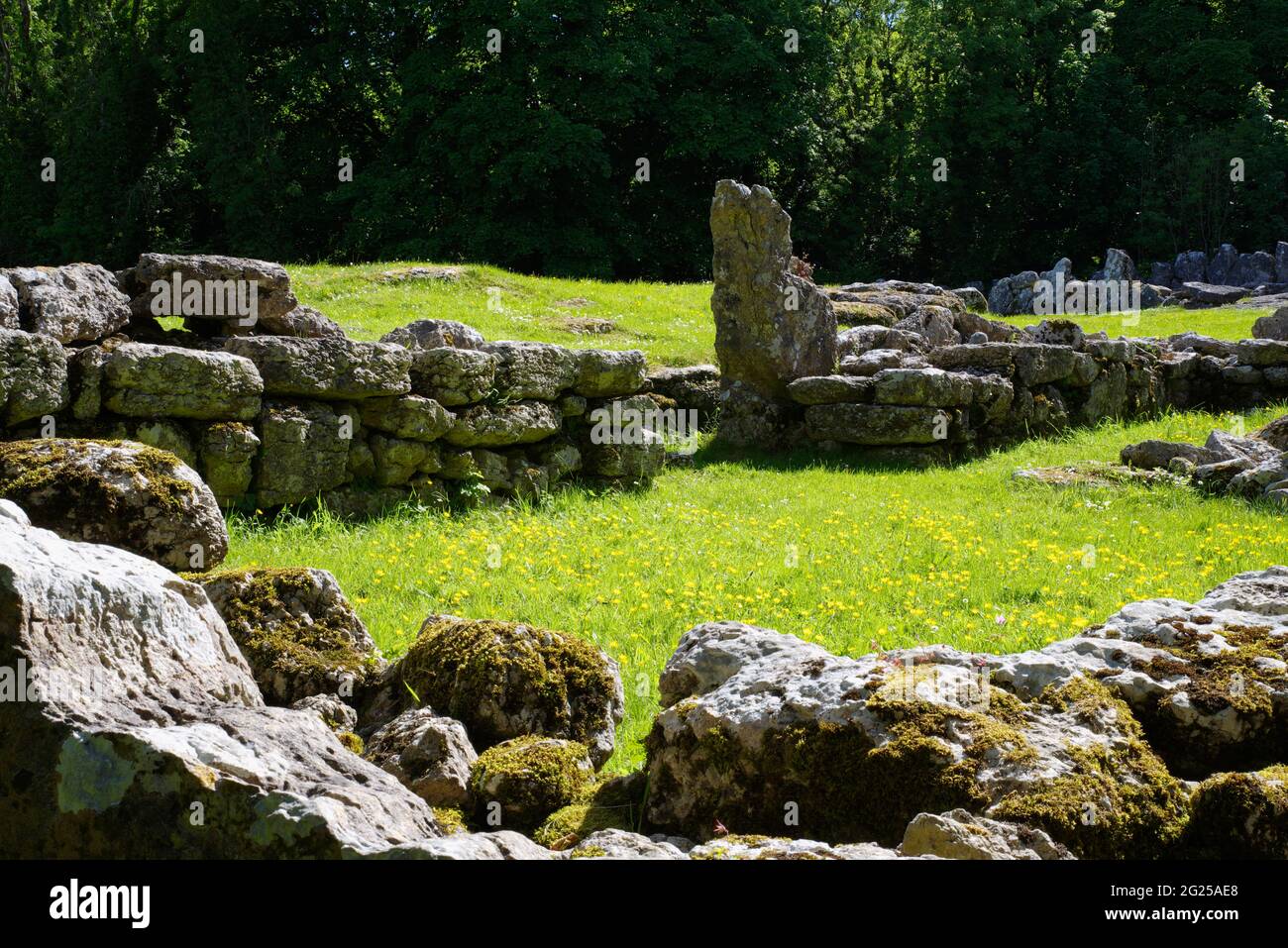 Din Lligwy, Ancient Settlement, Anglesey Stock Photo - Alamy