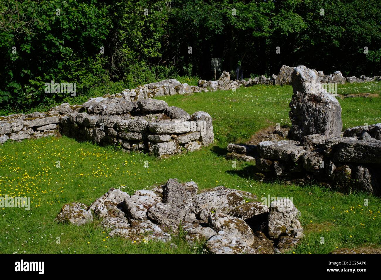 Din Lligwy, Ancient Settlement, Anglesey Stock Photo - Alamy