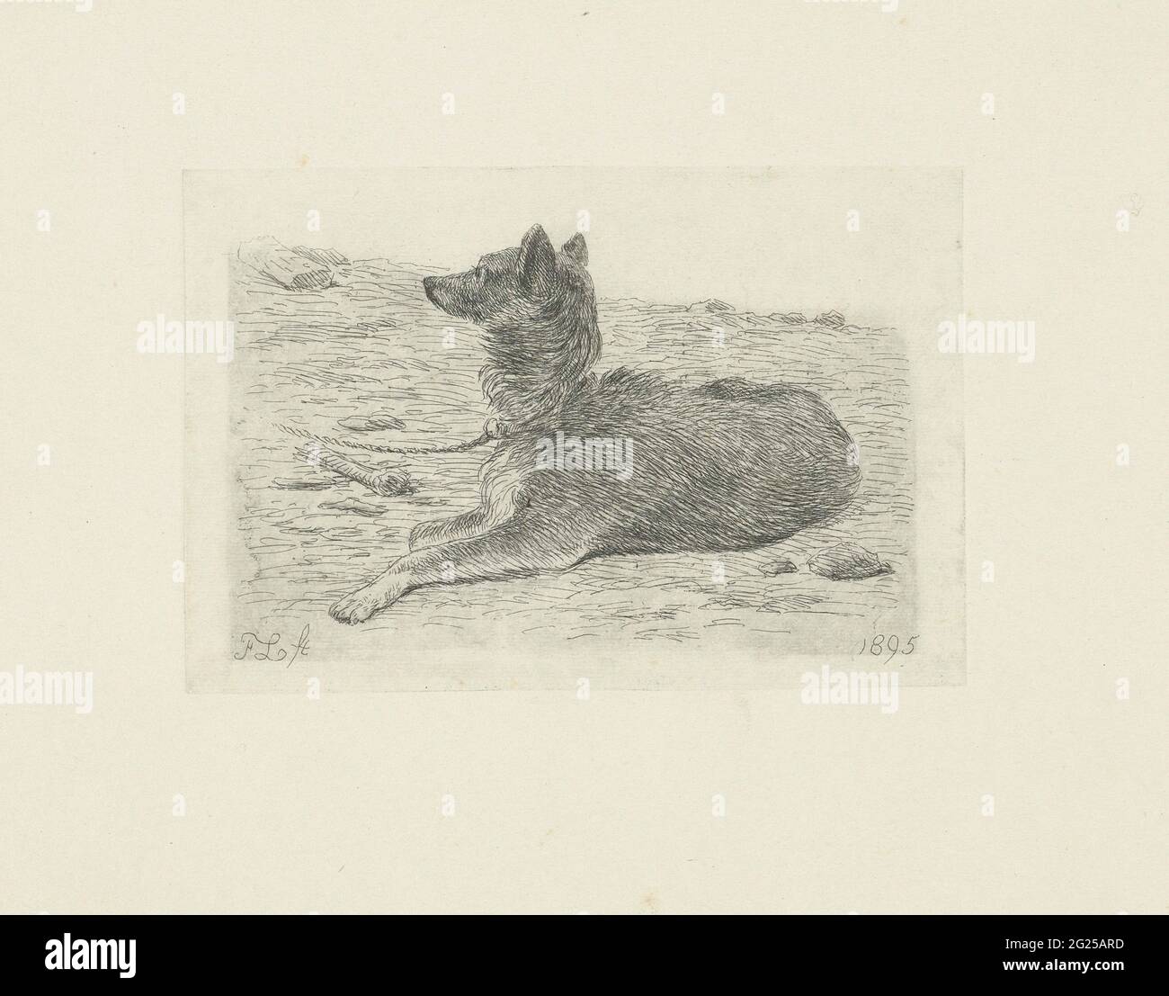 Attached horizontal collar hi-res stock photography and images - Alamy