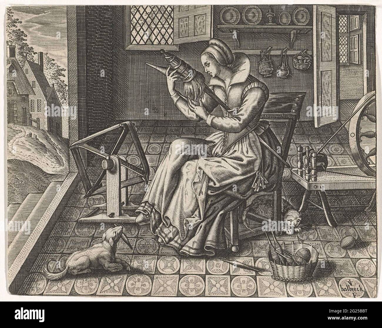 Spinster cat hi-res stock photography and images - Alamy