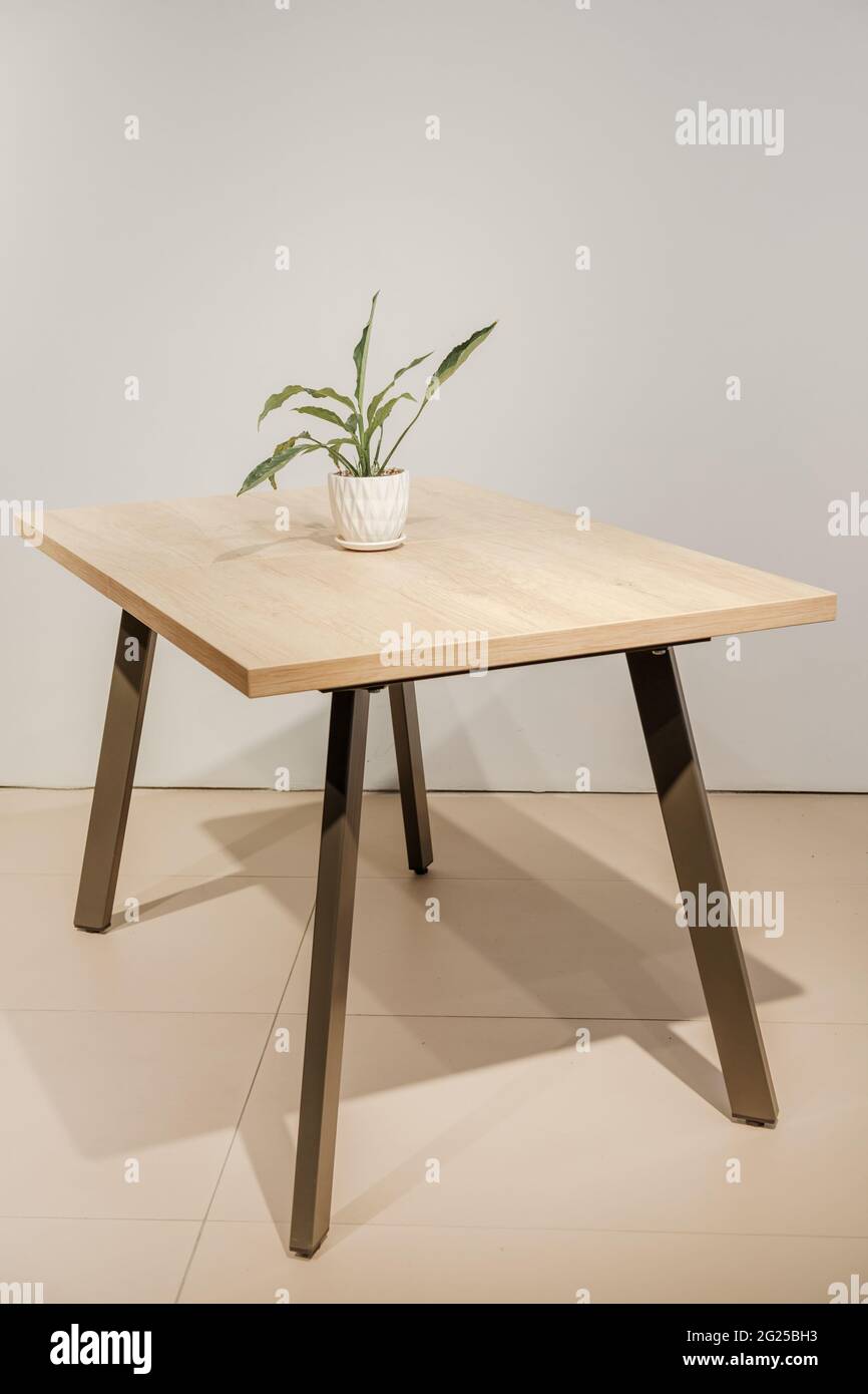 Wooden loft table with home plant in a pot Stock Photo - Alamy