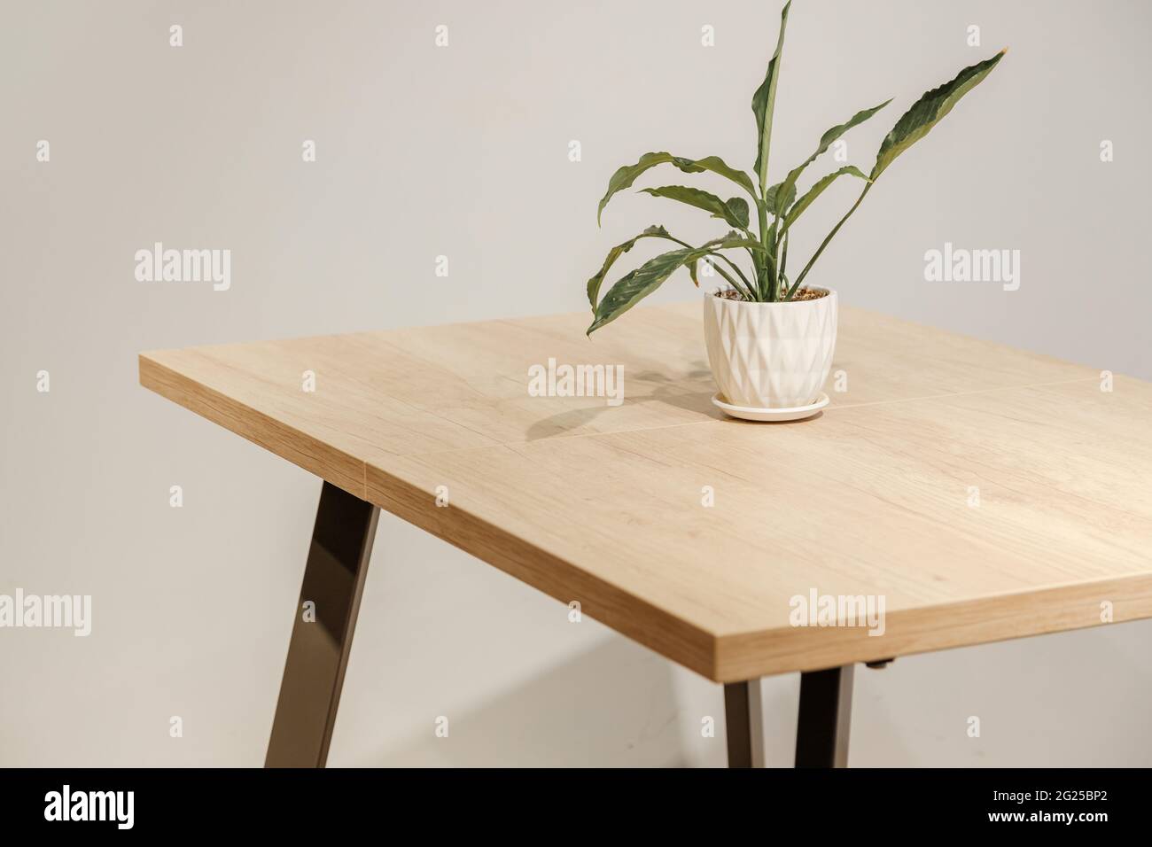 Wooden loft table with home plant in a pot Stock Photo - Alamy
