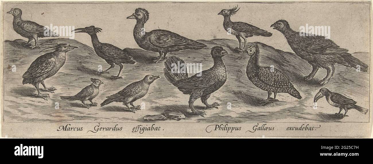 Icones avium hi-res stock photography and images - Alamy