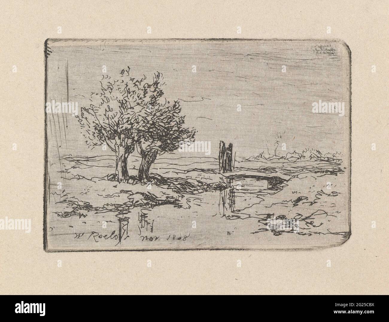 Two pollard willows on the water Stock Photo - Alamy