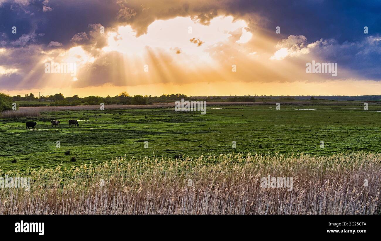 Sunset over Walberswick pasture with streaming sunlight Stock Photo - Alamy