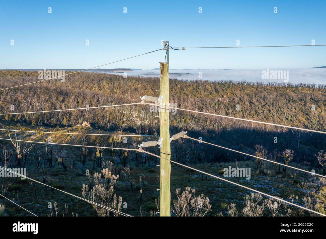 Drone aerial photograph of a telephone pole and wires in a forest ...
