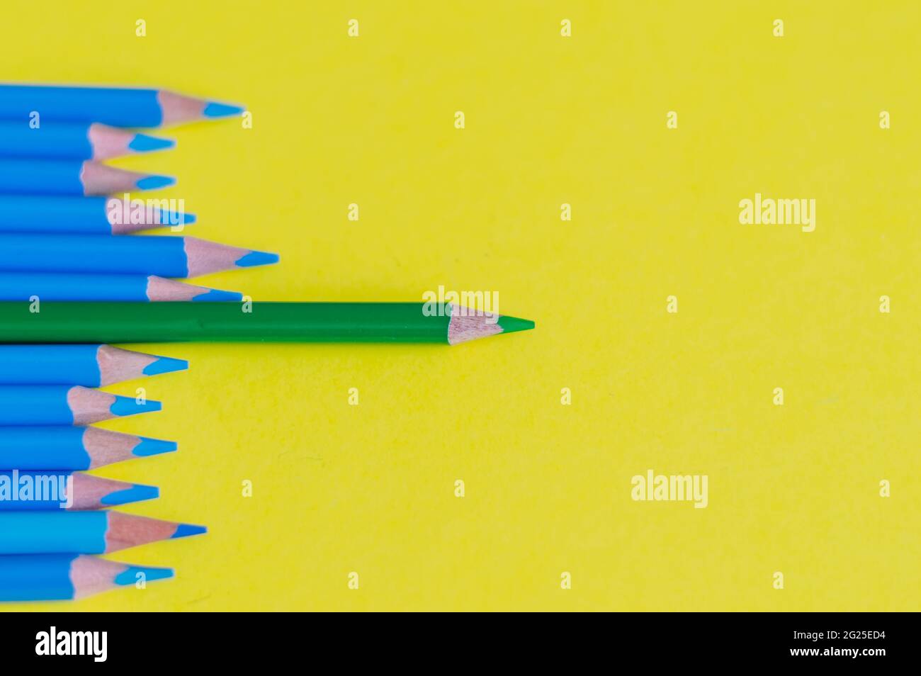 Sharpened blue pencils and one green pensil on a yellow background ...