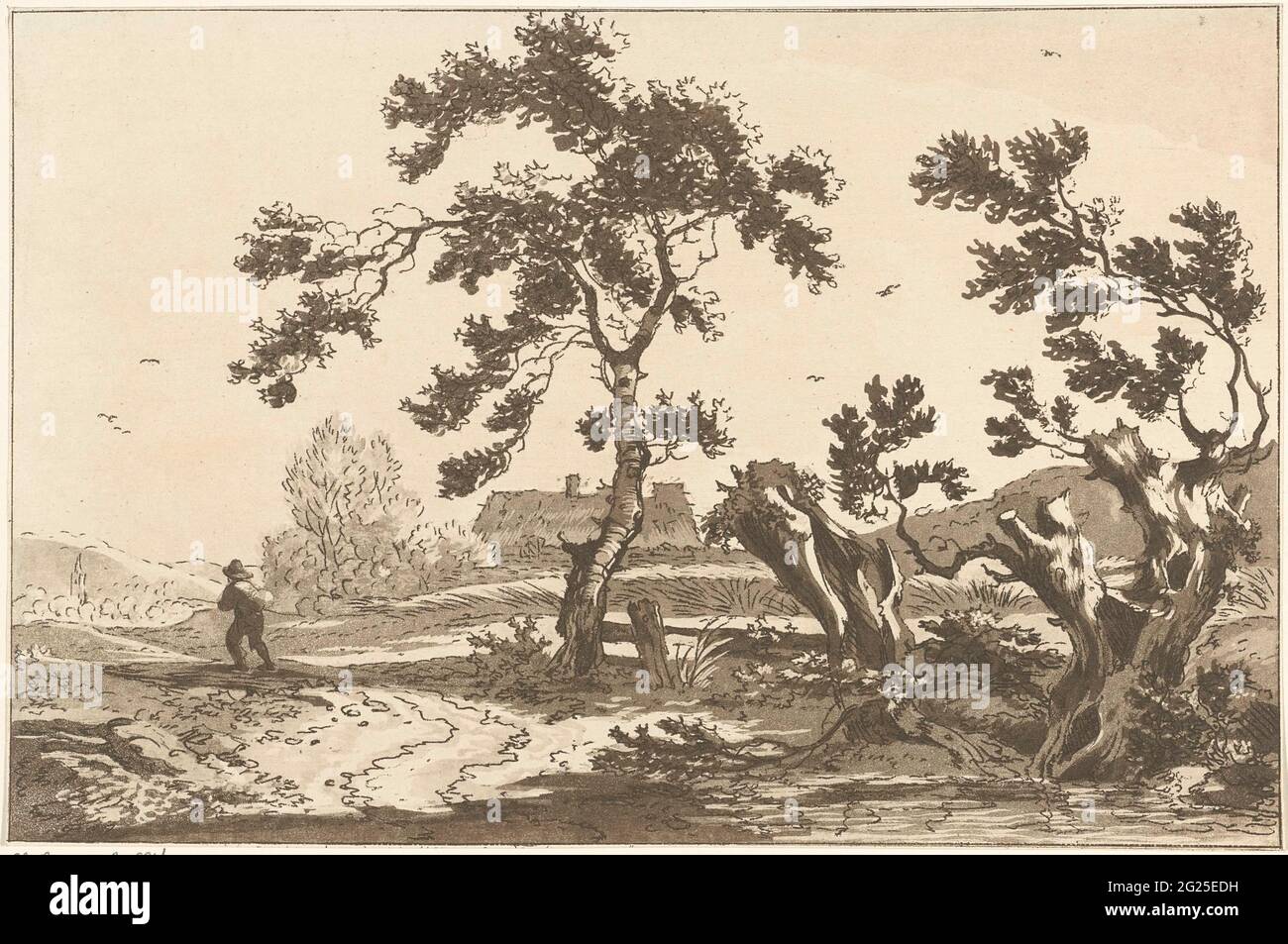 Trees along a road; Twelve designs calculated for the use of those who ...
