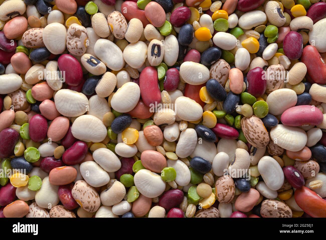 Very large beans hi-res stock photography and images - Alamy
