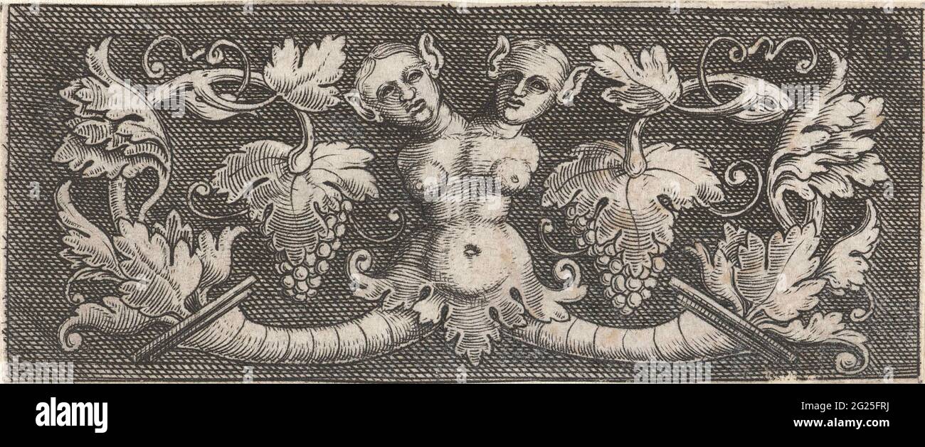 Frisian with the upper body of a woman with two heads in the middle ...