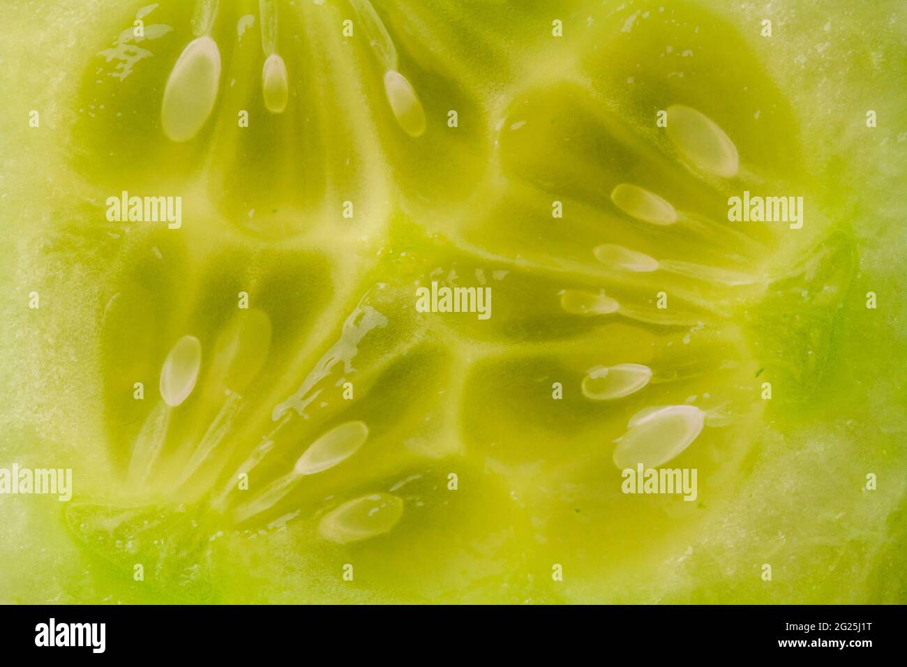 Cut green cucumber texture Stock Photo - Alamy