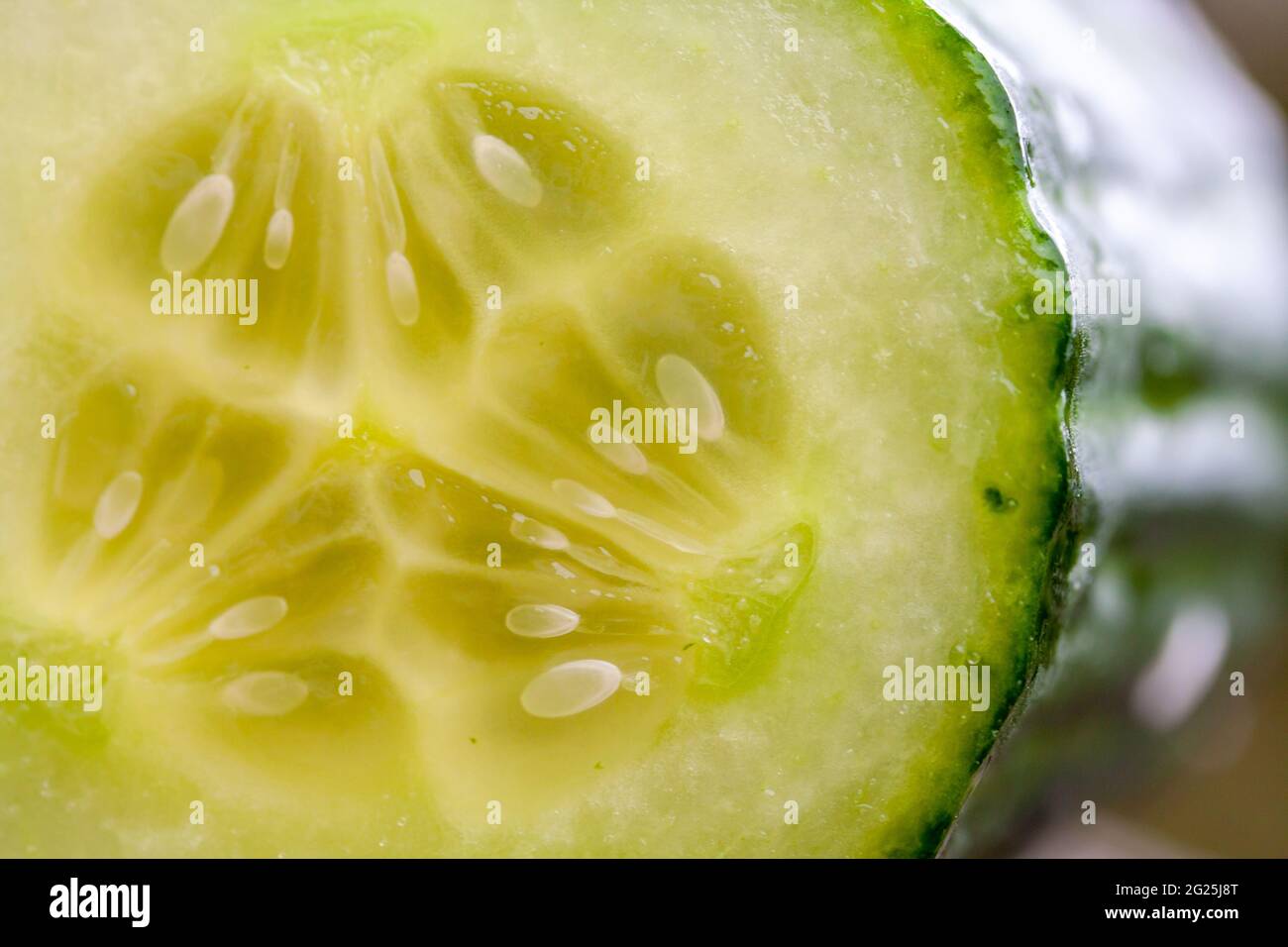 Cut green cucumber texture Stock Photo - Alamy