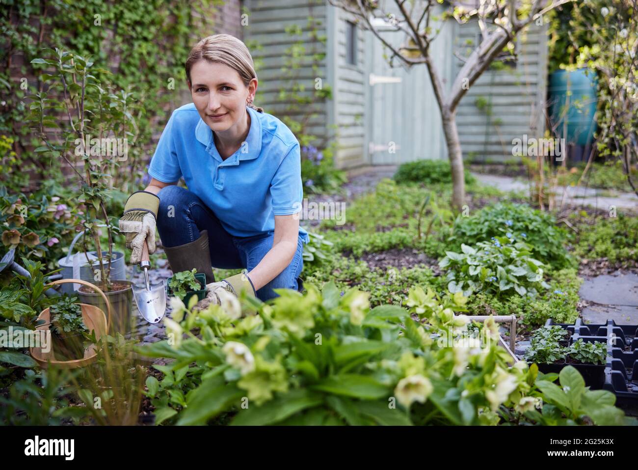 Portrait Of Mature Female Landscape Gardener Planting Plants In Garden ...