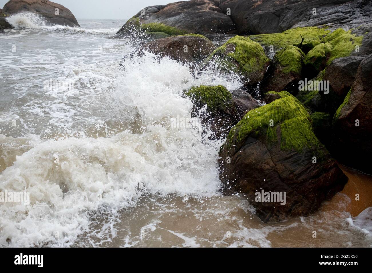 Foamy waves of the ocean hitting mossy rocks Stock Photo - Alamy