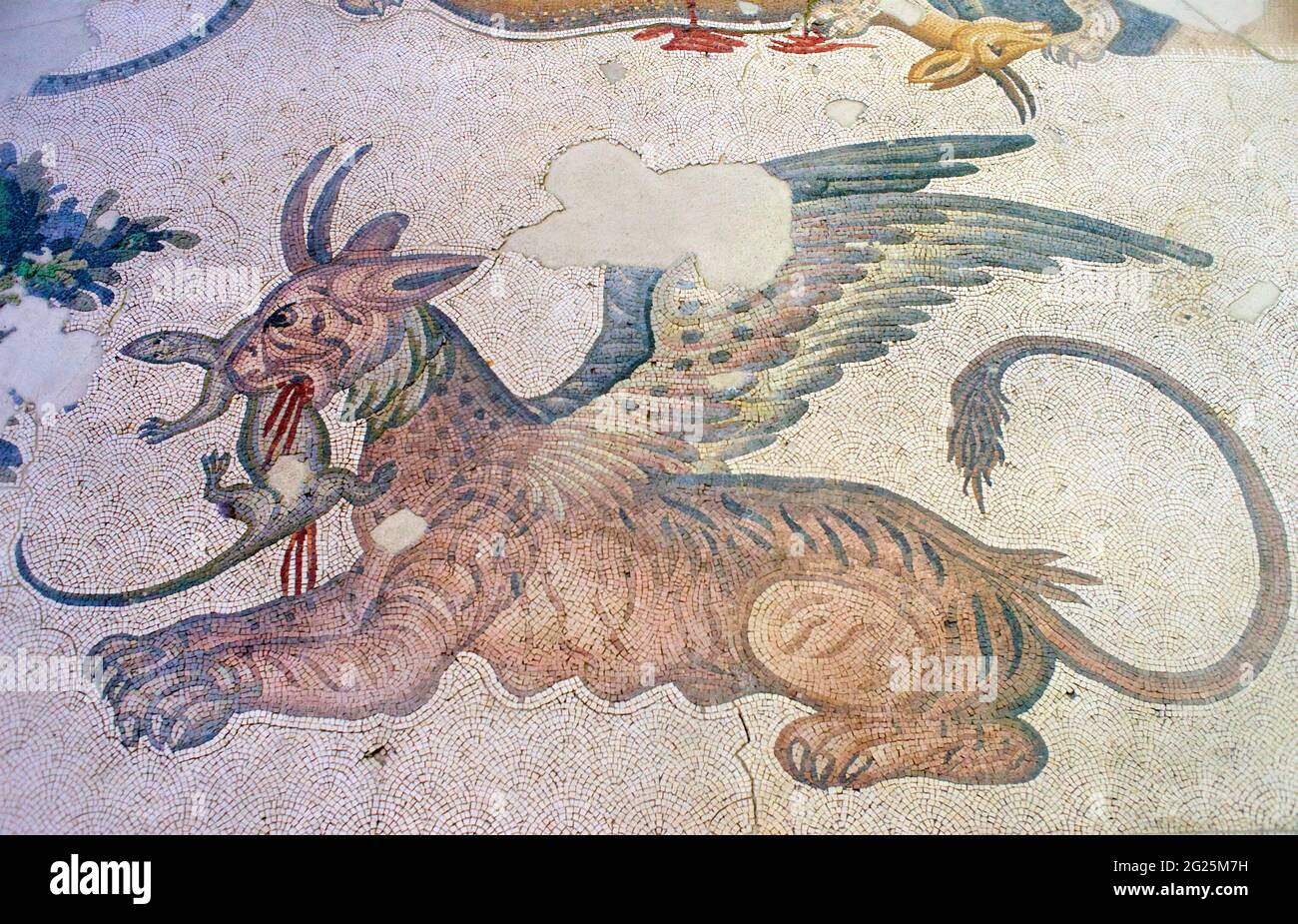 Detail of floor mosaic, Great Palace of Constantinople. Great Palace ...