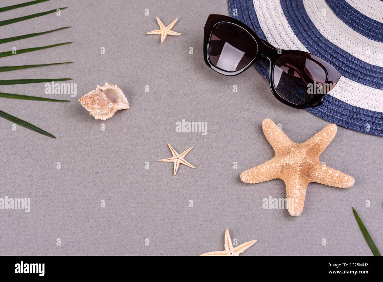 Beach accessories with shells and sea stars on a colored background ...
