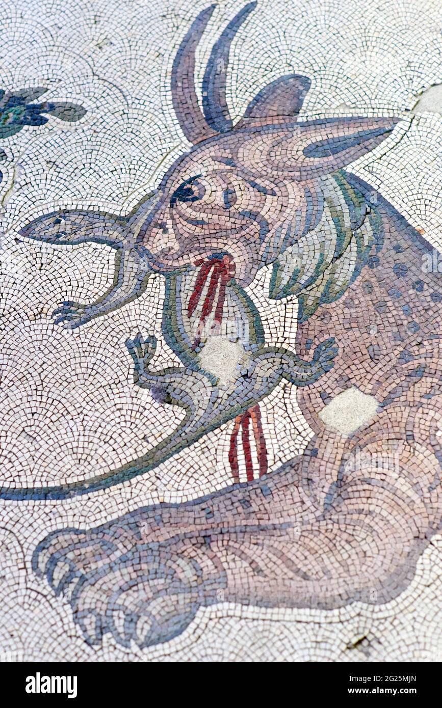 Mosaic lizard hi-res stock photography and images - Alamy