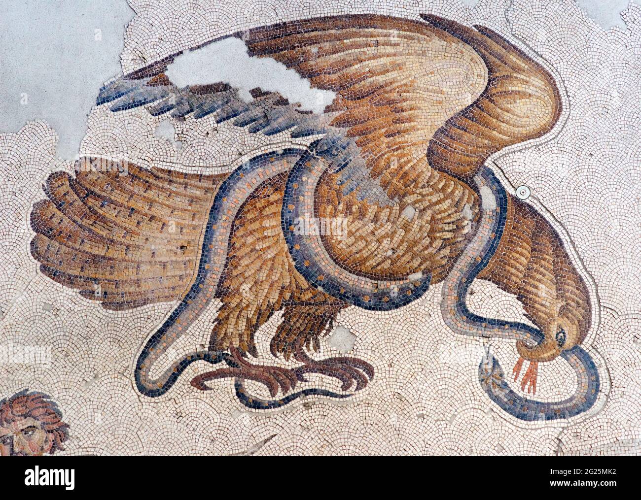 Snake mosaic hi-res stock photography and images - Alamy