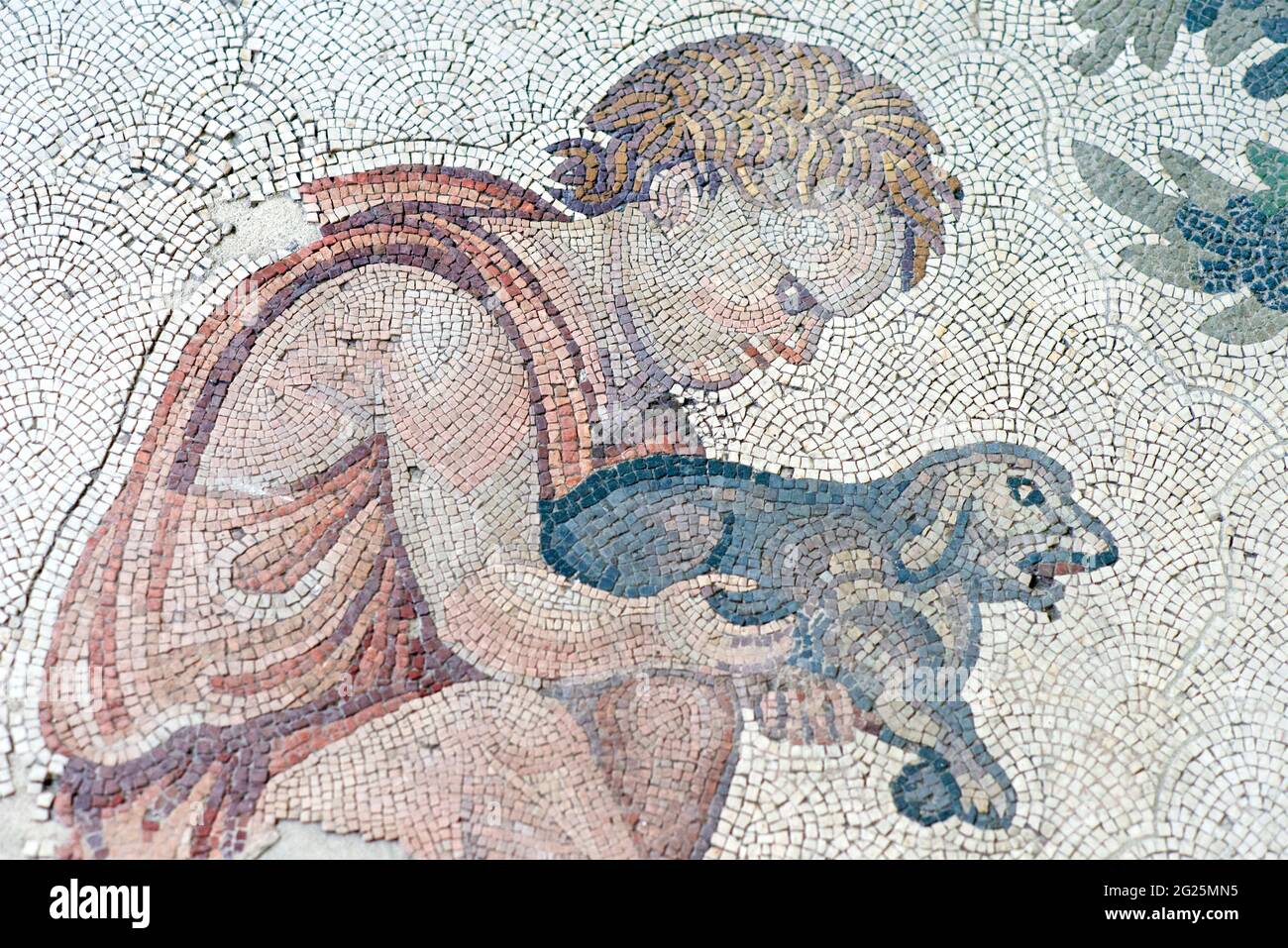 Detail of floor mosaic, Great Palace of Constantinople. Great Palace ...