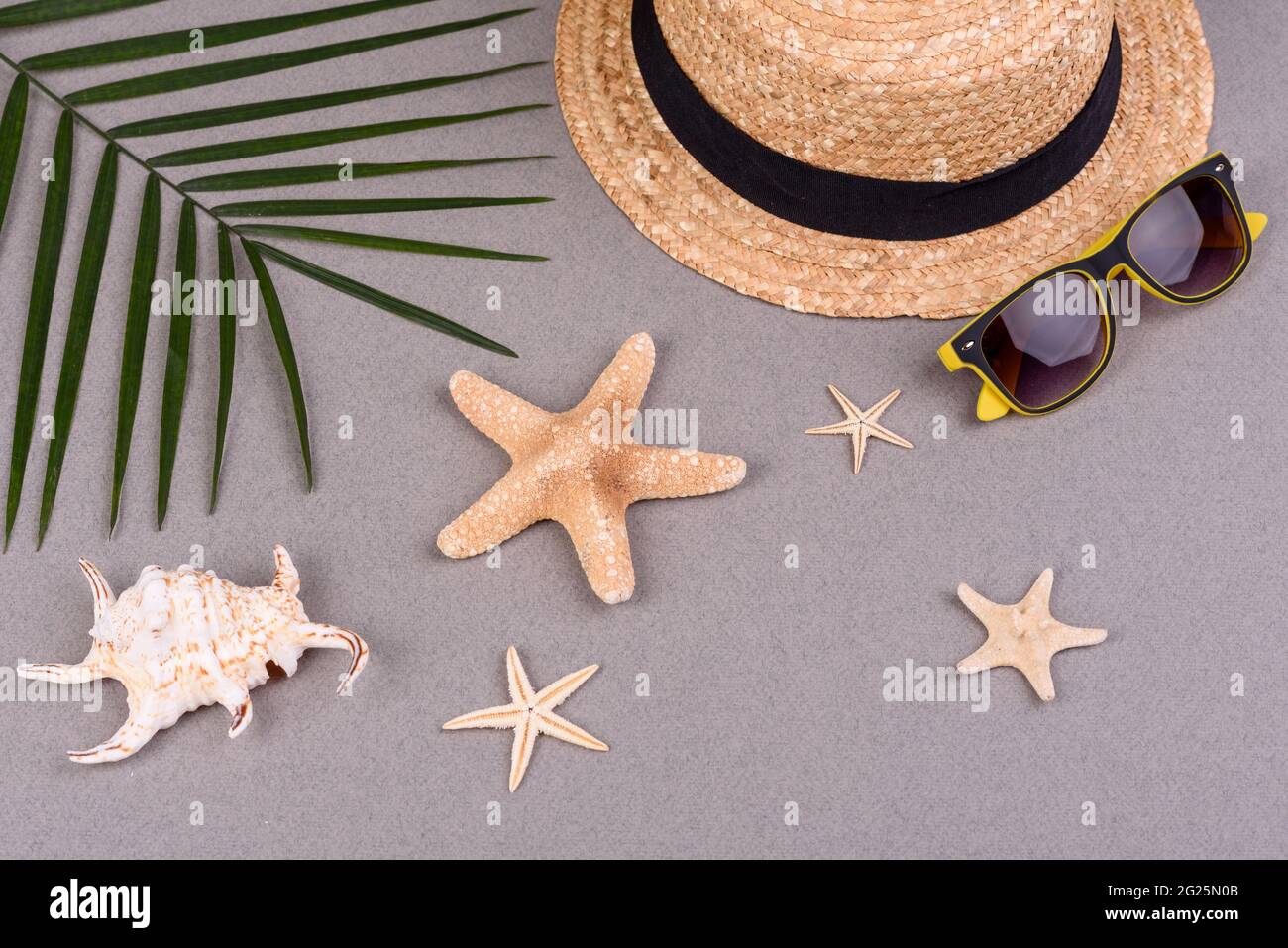 Beach accessories with shells and sea stars on a colored background ...
