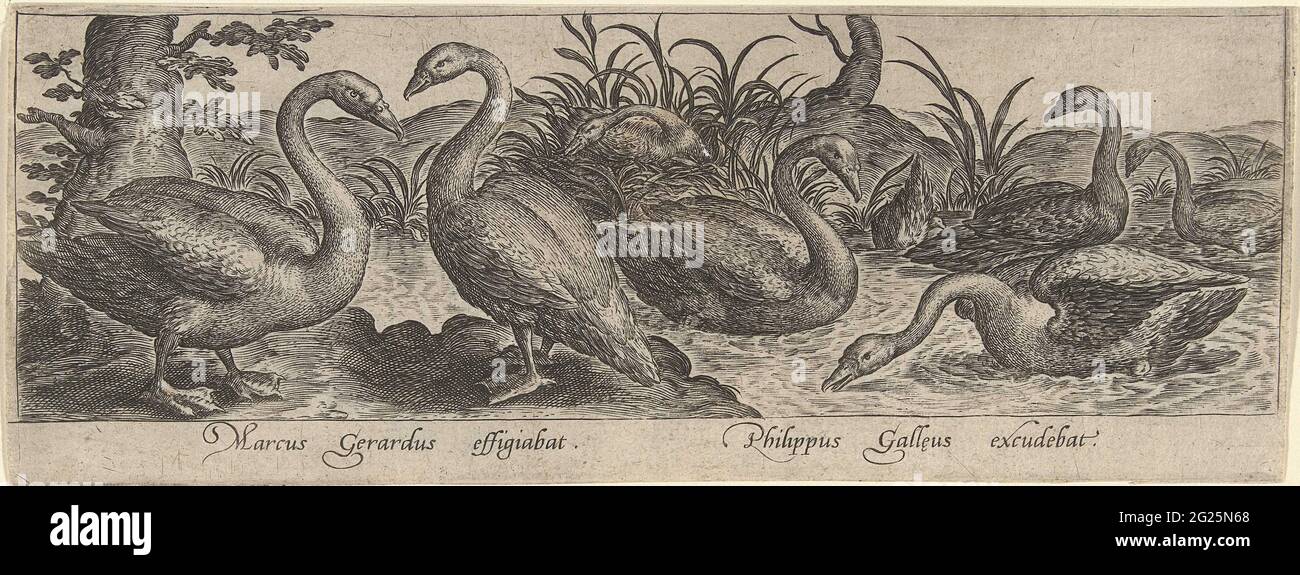 Seven geese; Birds and butterflies; Avium vivae icones. Seven geese at ...