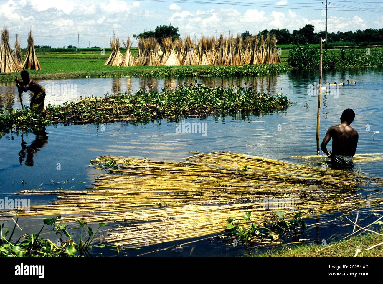 Ganges river delta hi-res stock photography and images - Alamy