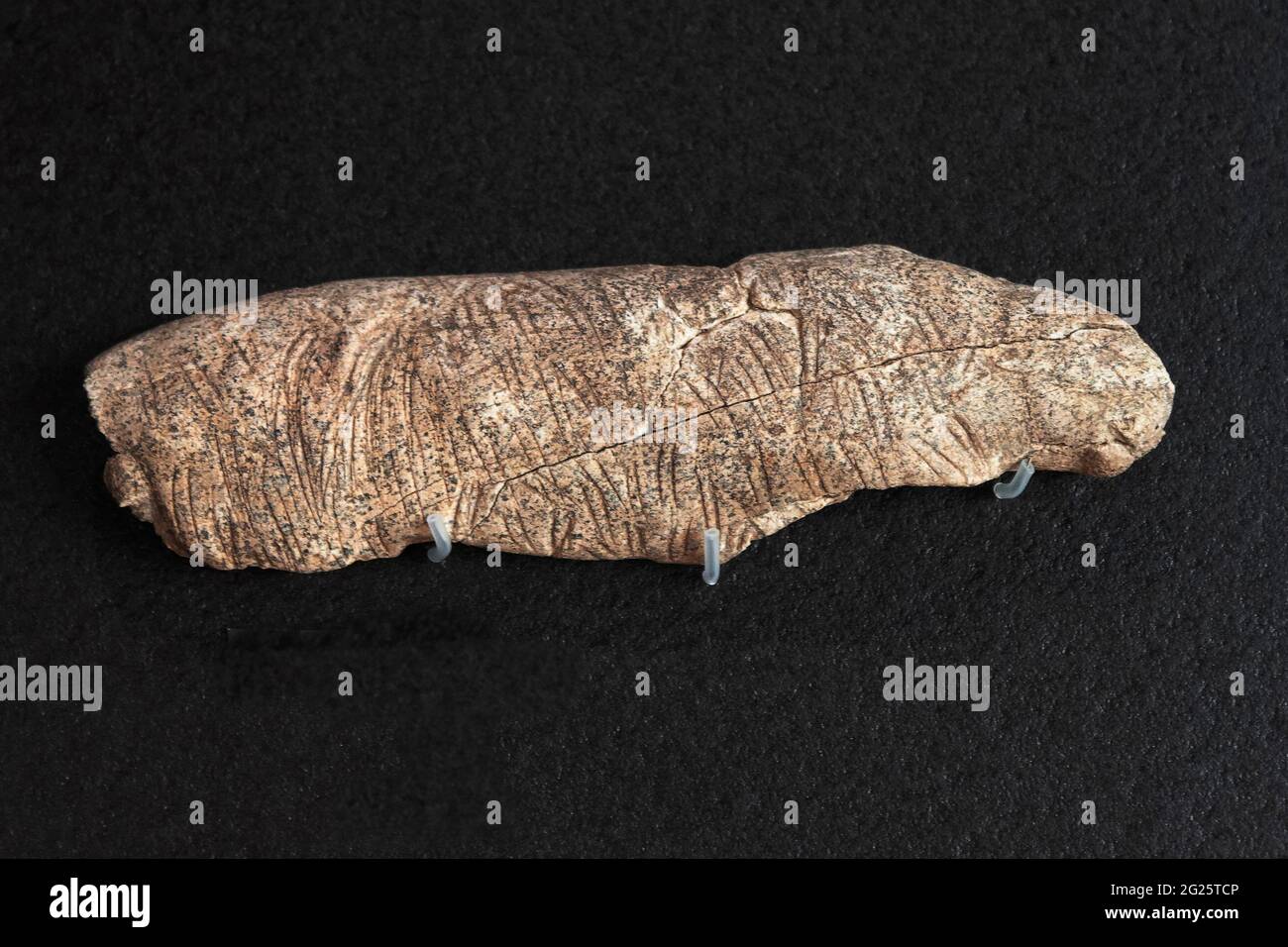 Prehistoric objects, sculptures and engravings from France Stock Photo ...