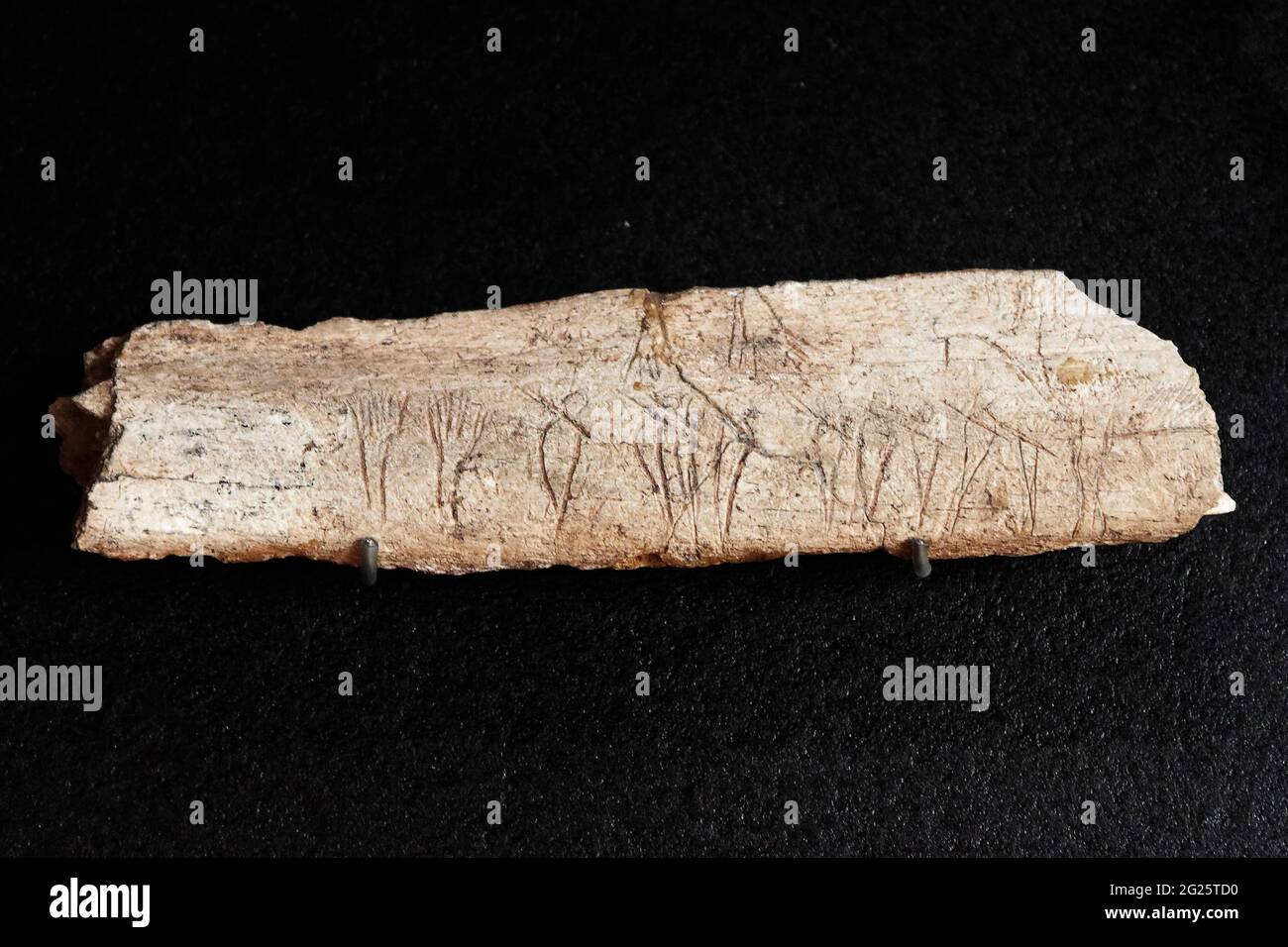 Prehistoric objects, sculptures and engravings from France Stock Photo ...