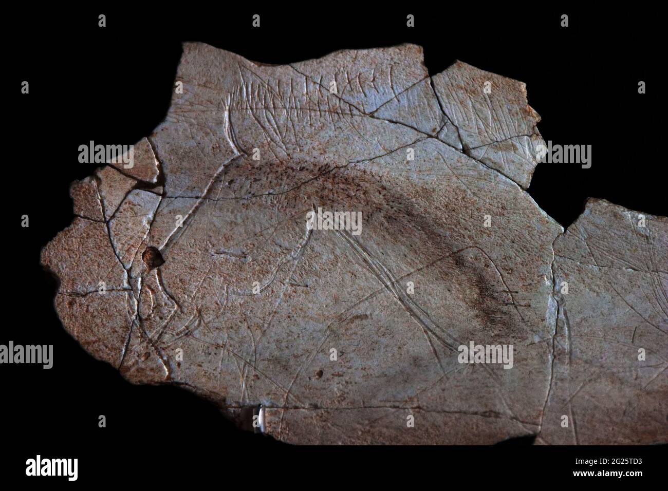 Prehistoric objects, sculptures and engravings from France Stock Photo ...