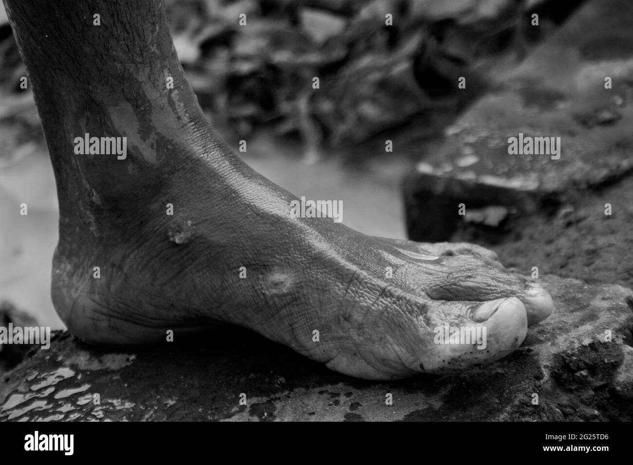 Man's foot walking Black and White Stock Photos & Images - Alamy