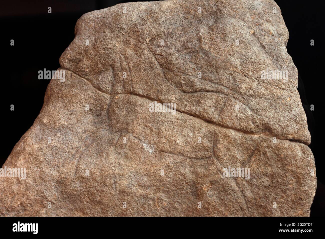 Prehistoric objects, sculptures and engravings from France Stock Photo ...