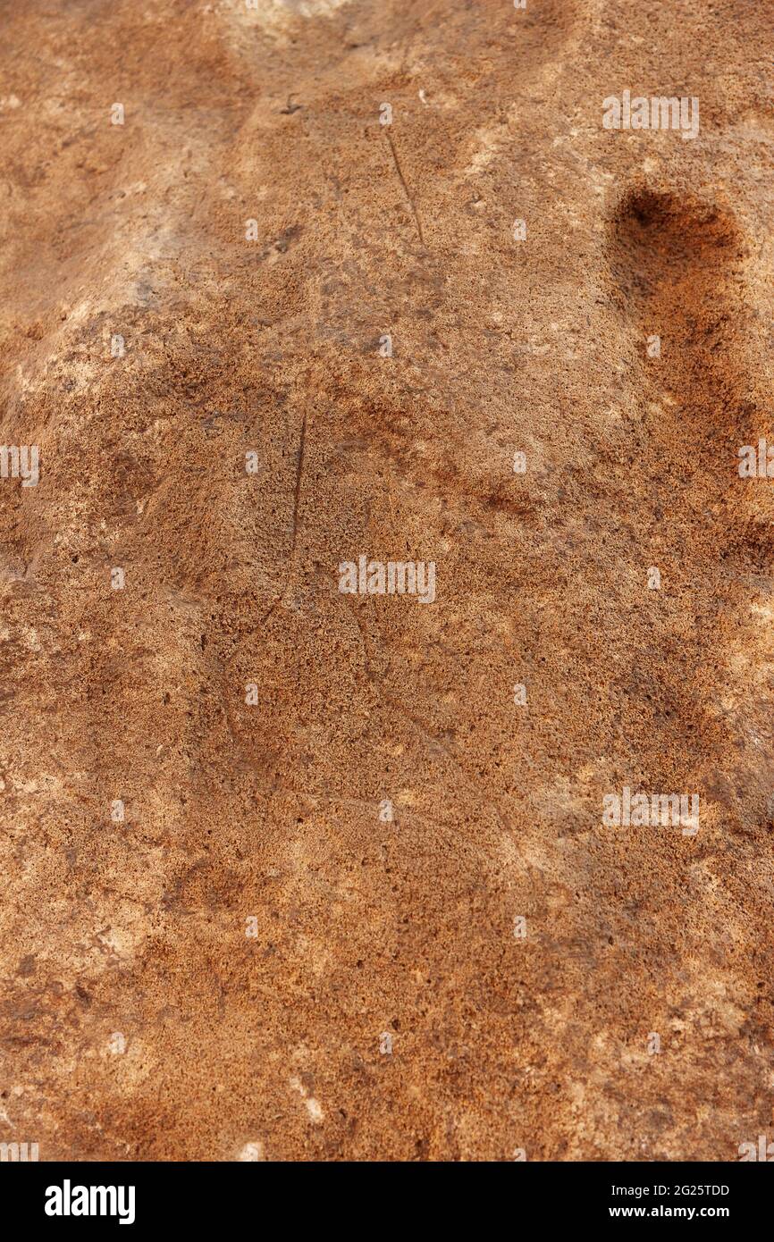 Prehistoric objects, sculptures and engravings from France Stock Photo ...