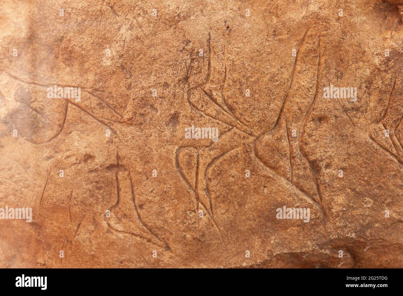 Prehistoric objects, sculptures and engravings from France Stock Photo ...