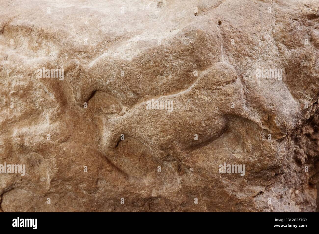 Prehistoric objects, sculptures and engravings from France Stock Photo ...
