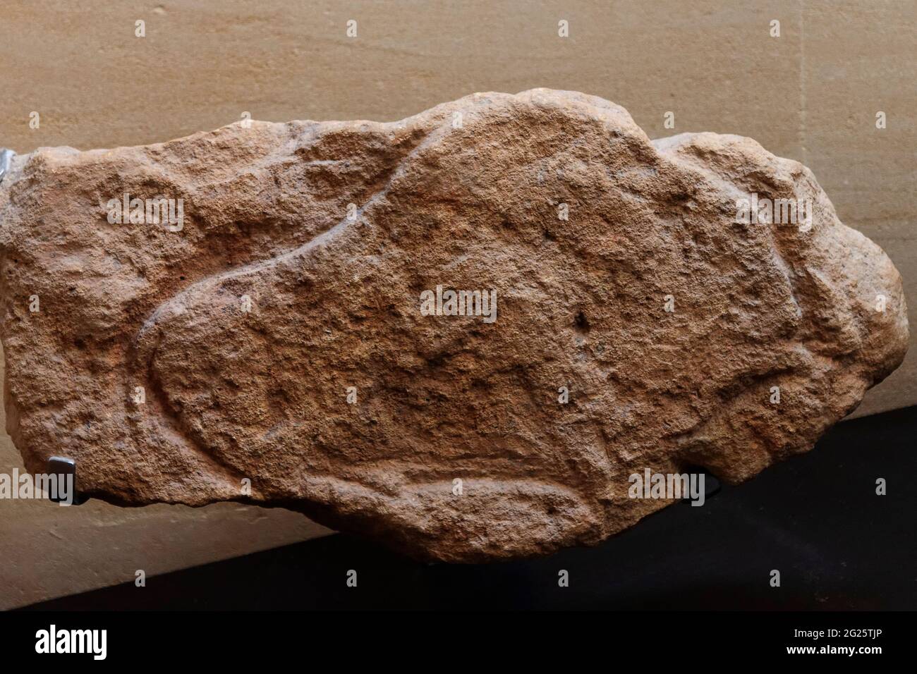 Prehistoric objects, sculptures and engravings from France Stock Photo ...